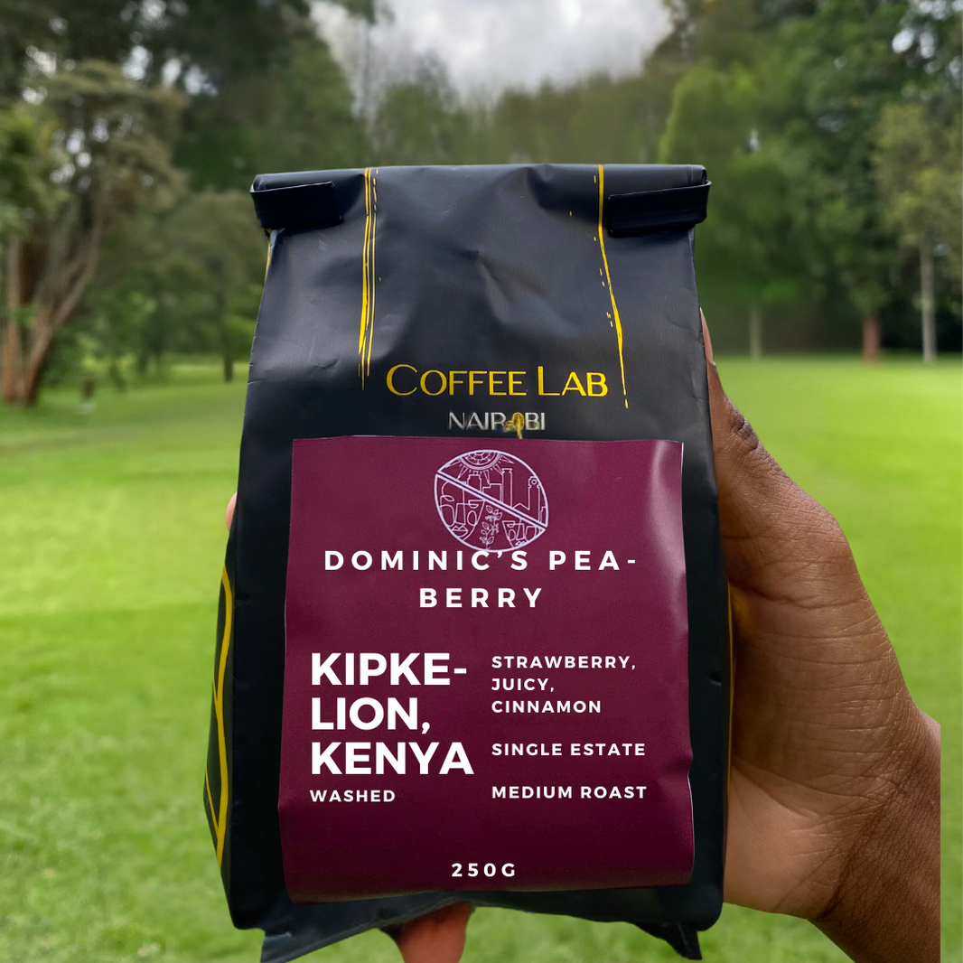 Washed Coffee – Coffee Lab Nairobi