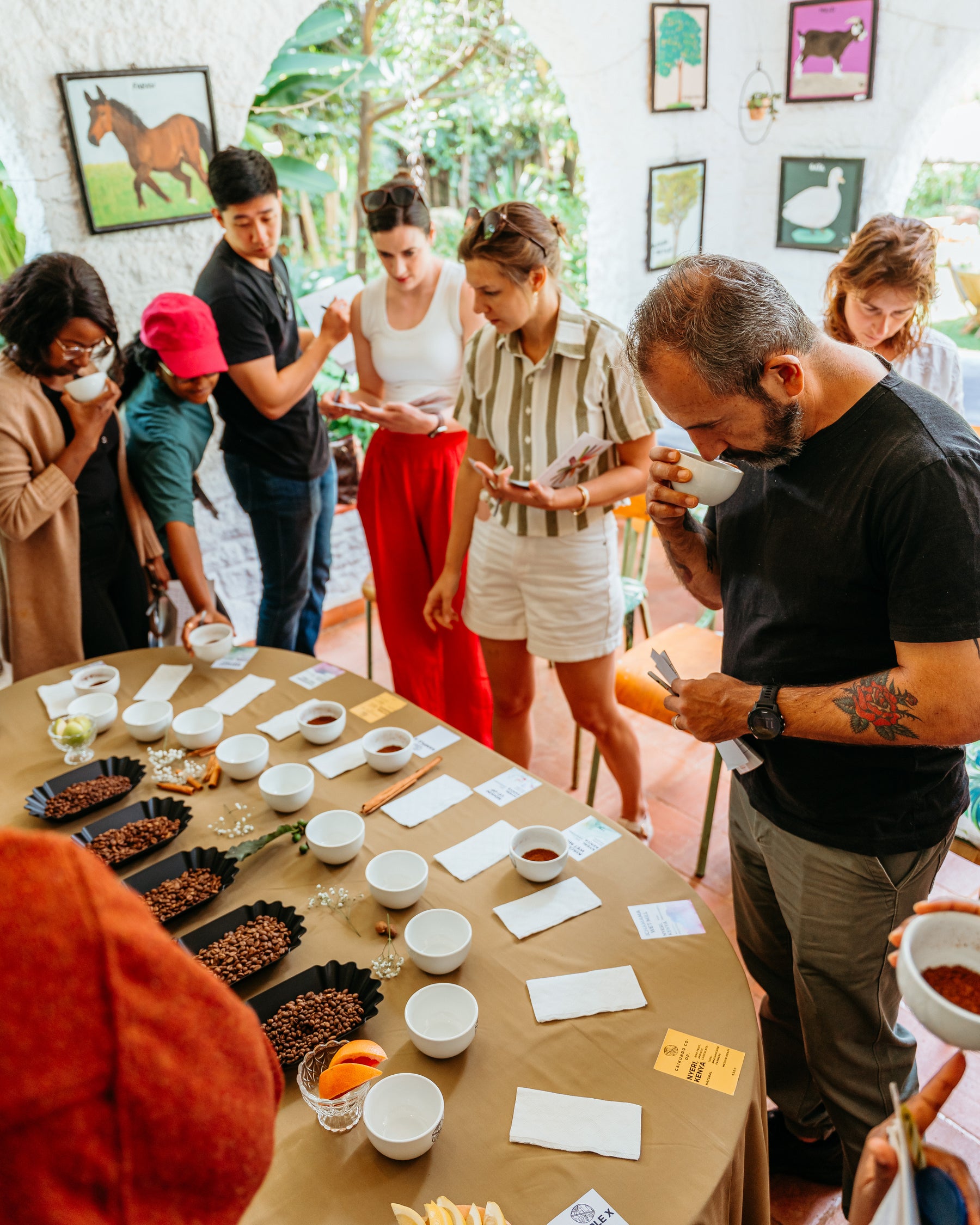 Coffee Cupping – Coffee Lab Nairobi